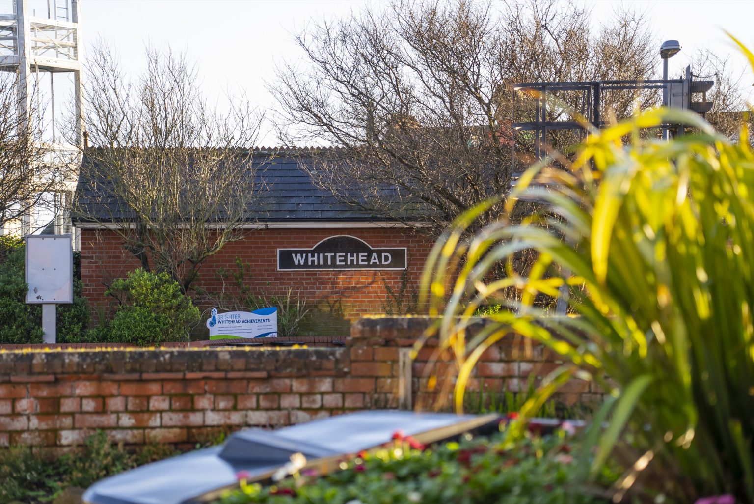 Home - Whitehead Community Association