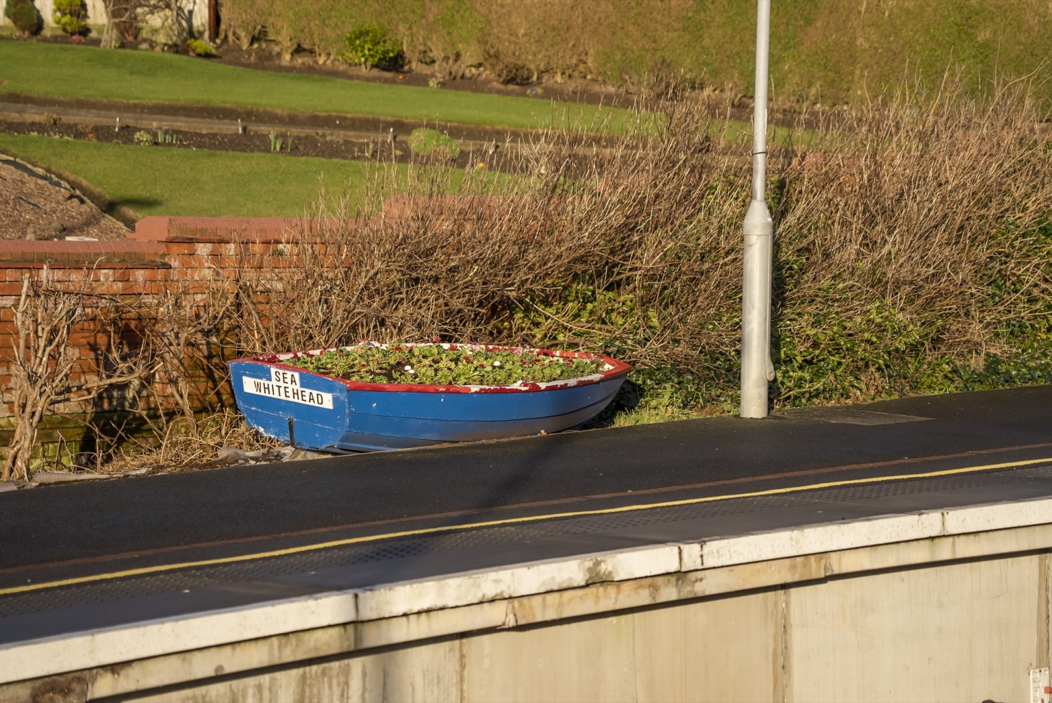 Home - Whitehead Community Association