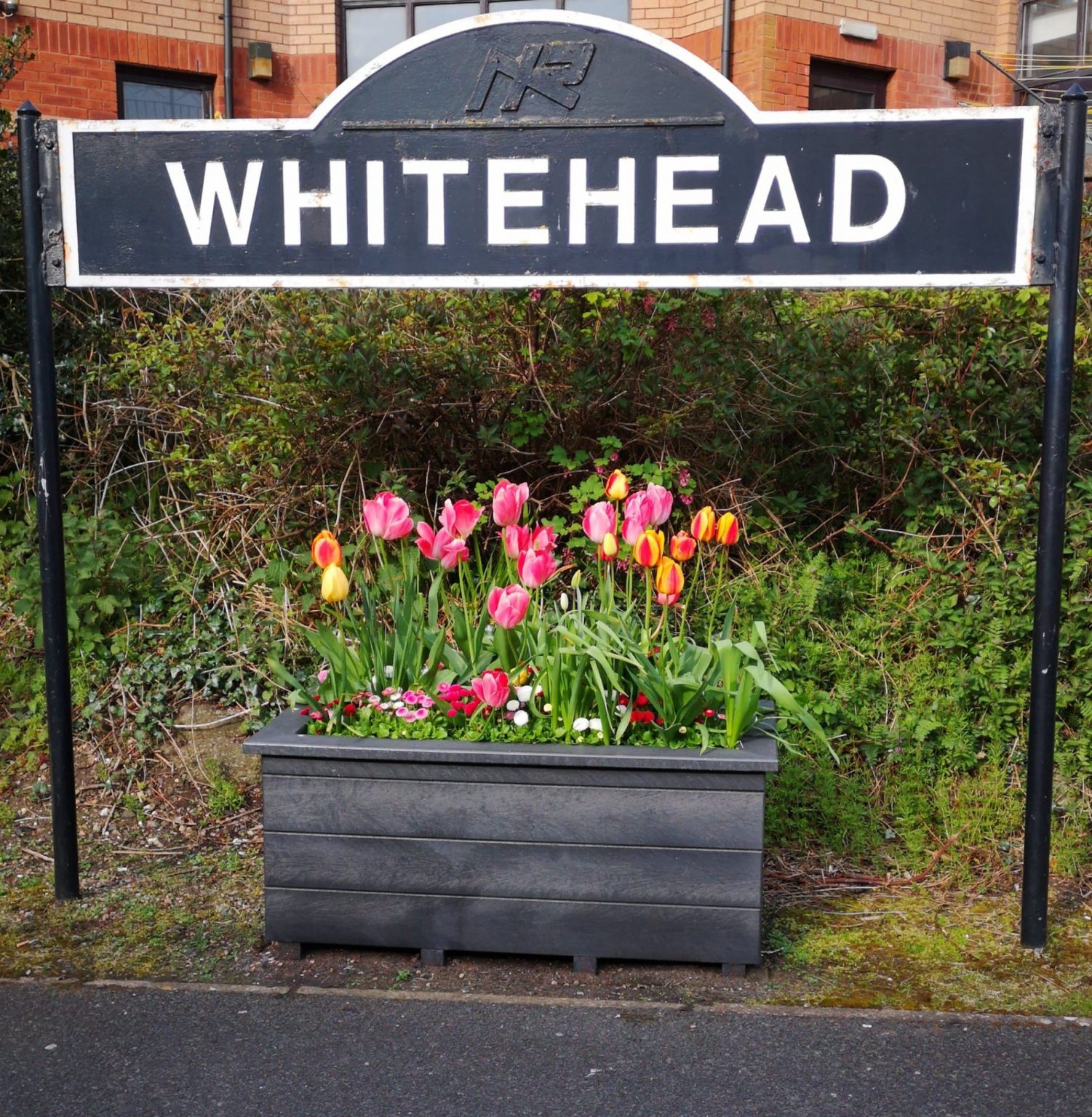Home - Whitehead Community Association