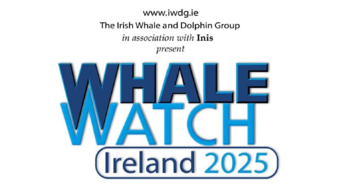 What's On - Whitehead Community Association